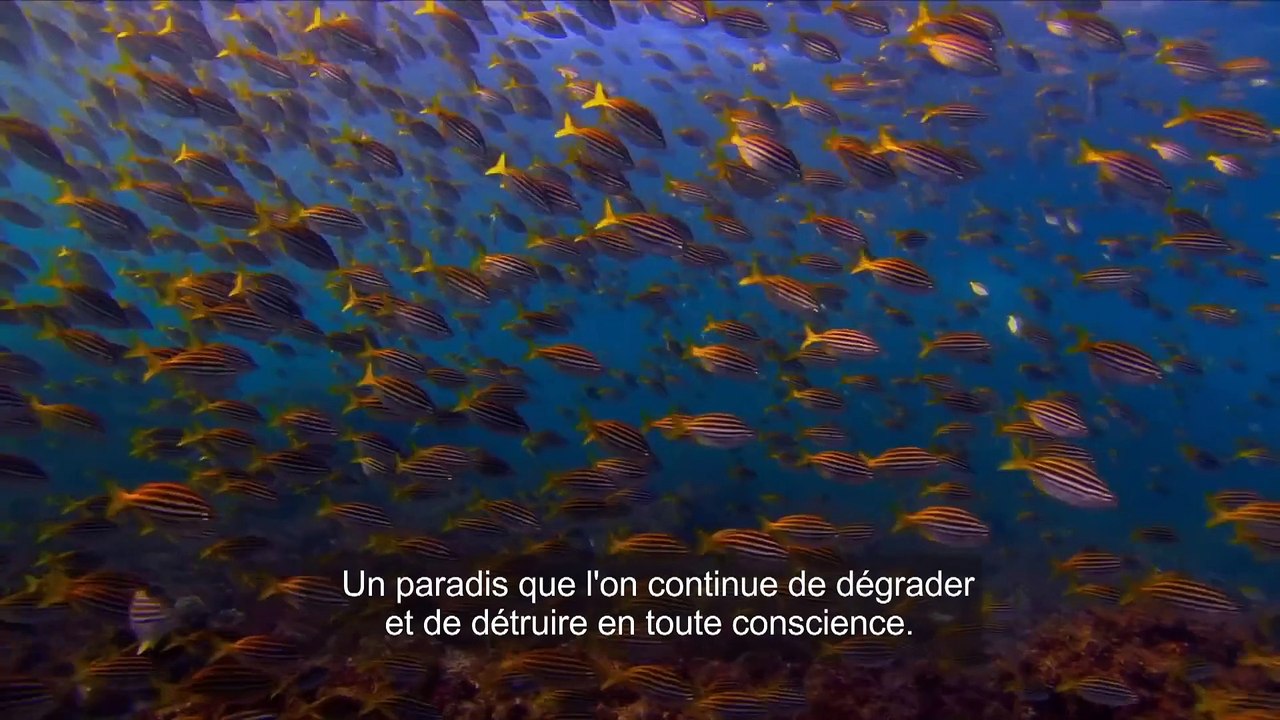 Bande-annonce - Avant le Déluge (Before the Flood official trailer ...