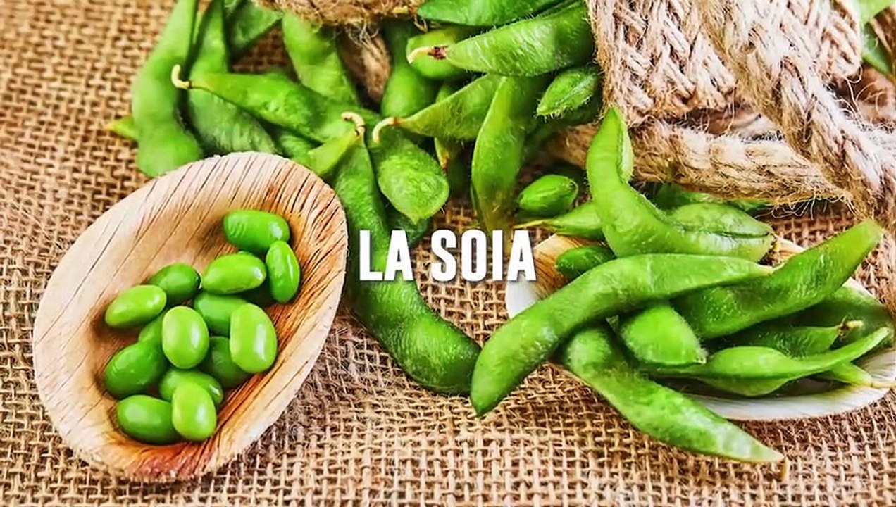 Scienza & Salute: 'La soia, luci e ombre di un legume atipico' - video ...