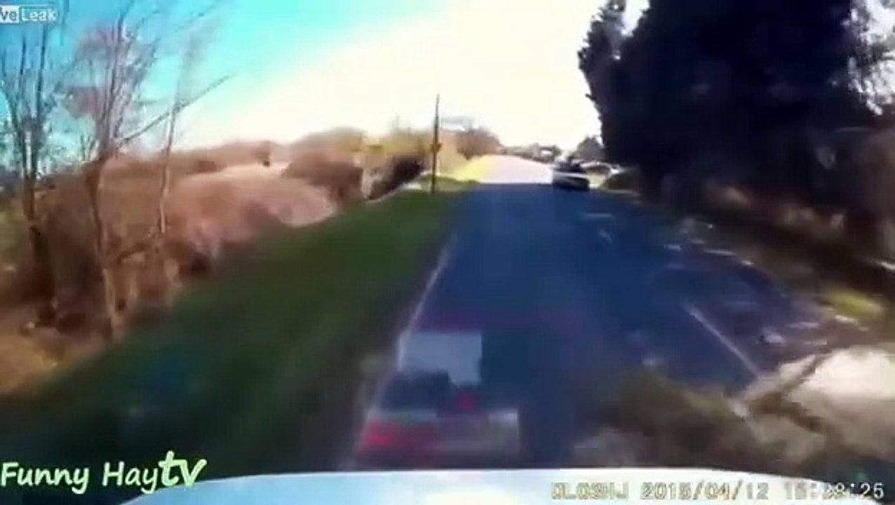 Funny Videos Try Not To Laugh Funny Pranks Funny vines Top Funny girls ...