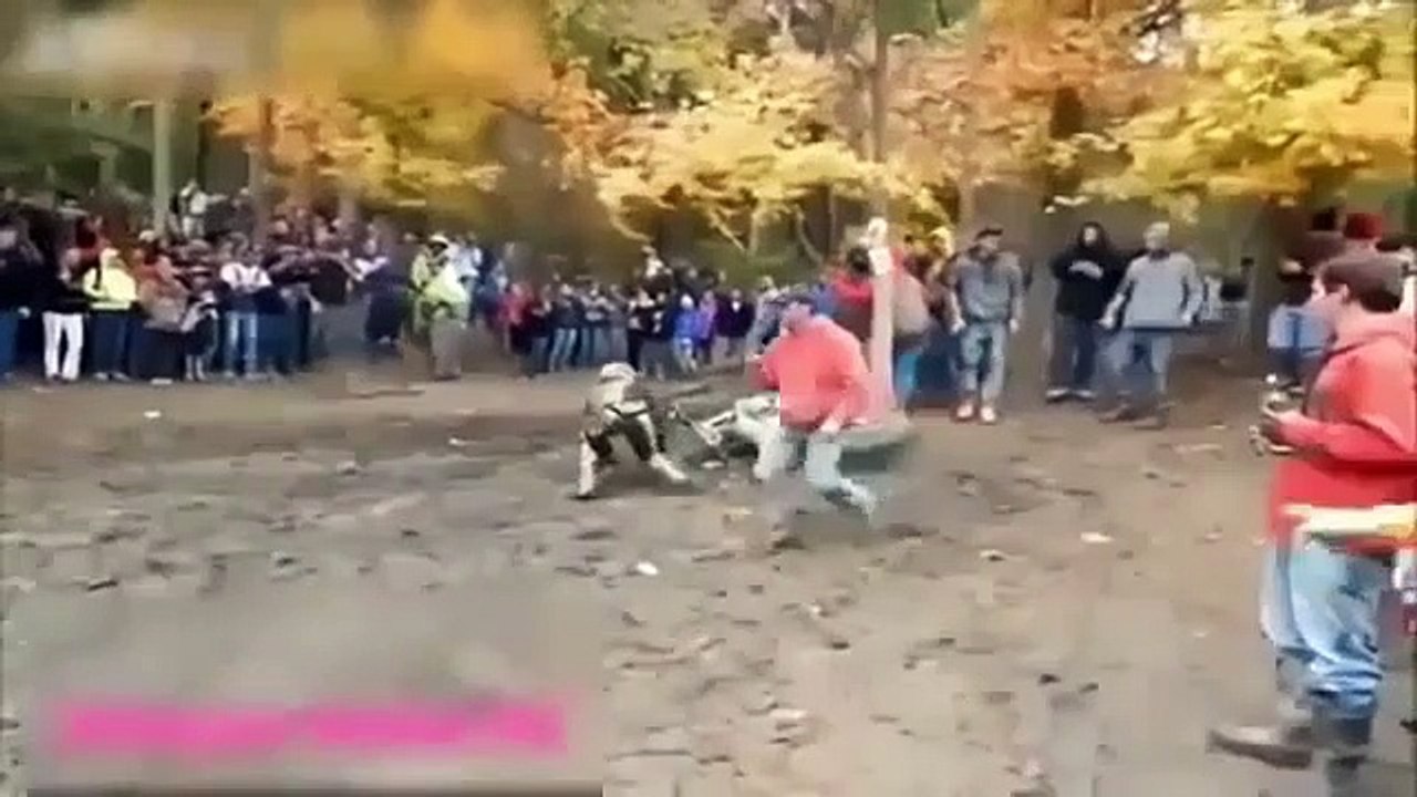 Funny Pranks 2015 Epic Fail Compilation 2015 pranks Funny Videos Funny ...