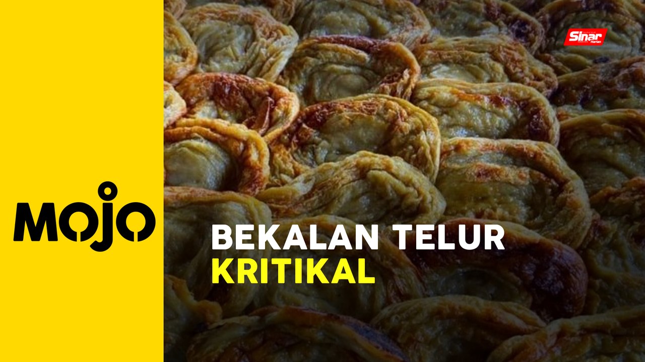 Kesusahan dapat telur, peniaga risau akok tak ada pasaran - Video ...