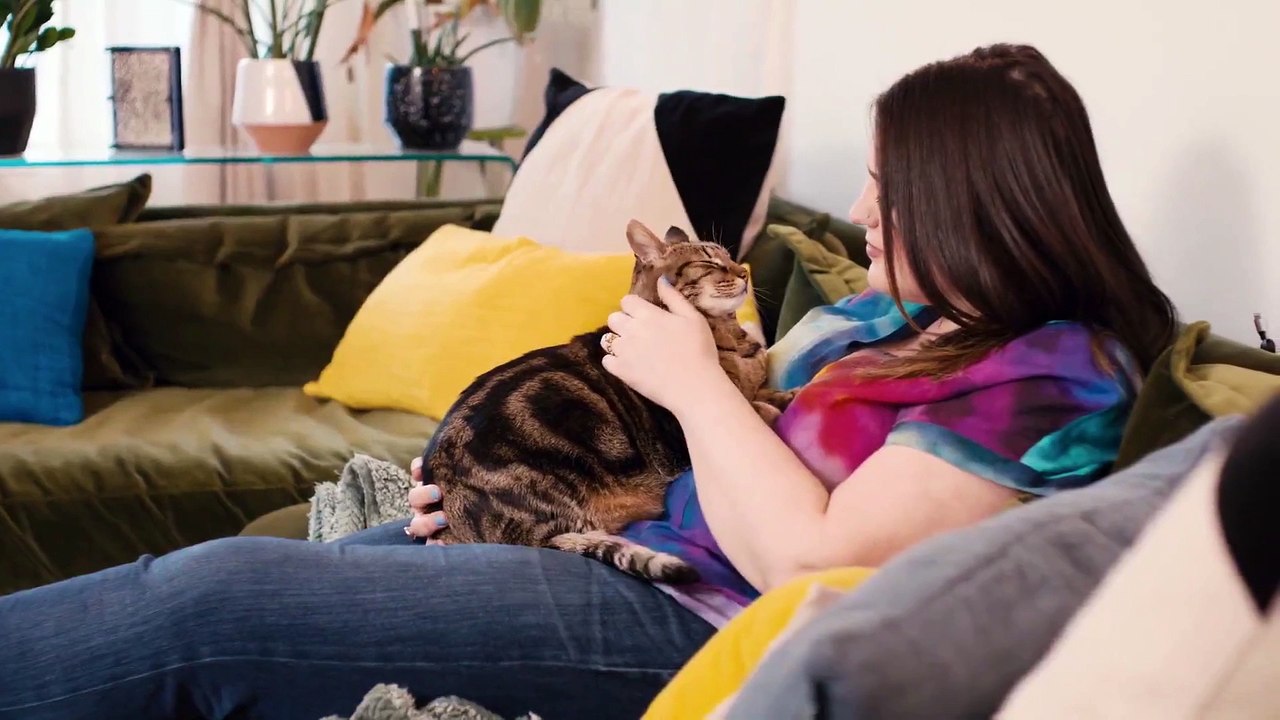 Inside the Mind of a Cat - 123Movies - video Dailymotion