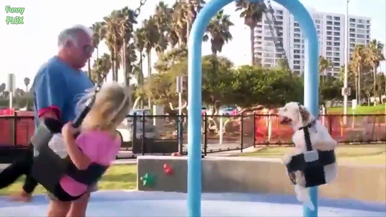 Funny Dogs Acting Like Humans Compilation 2016 (8) - Vidéo Dailymotion