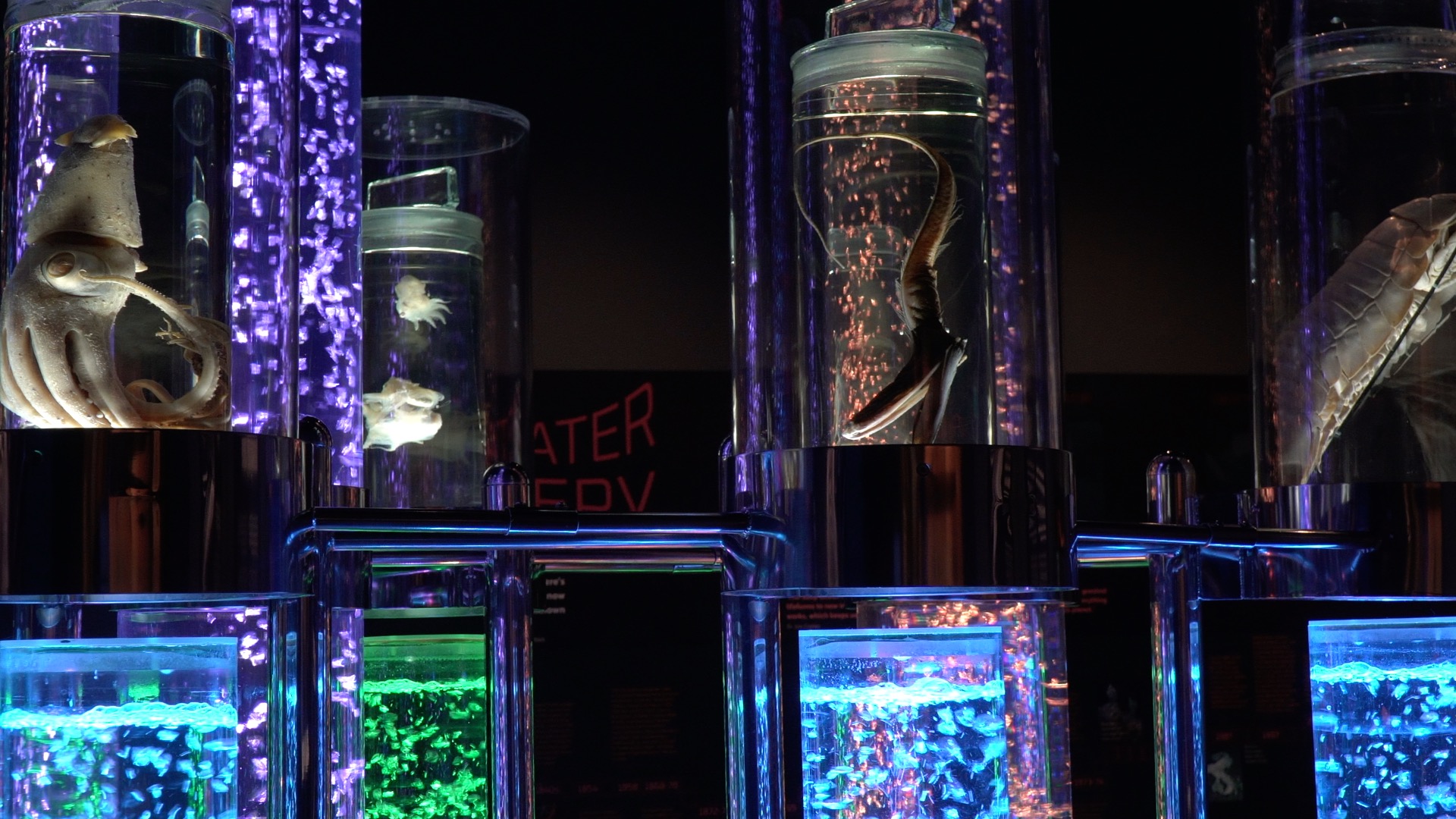 Chatham Dockyard shares deep sea secrets in new exhibition