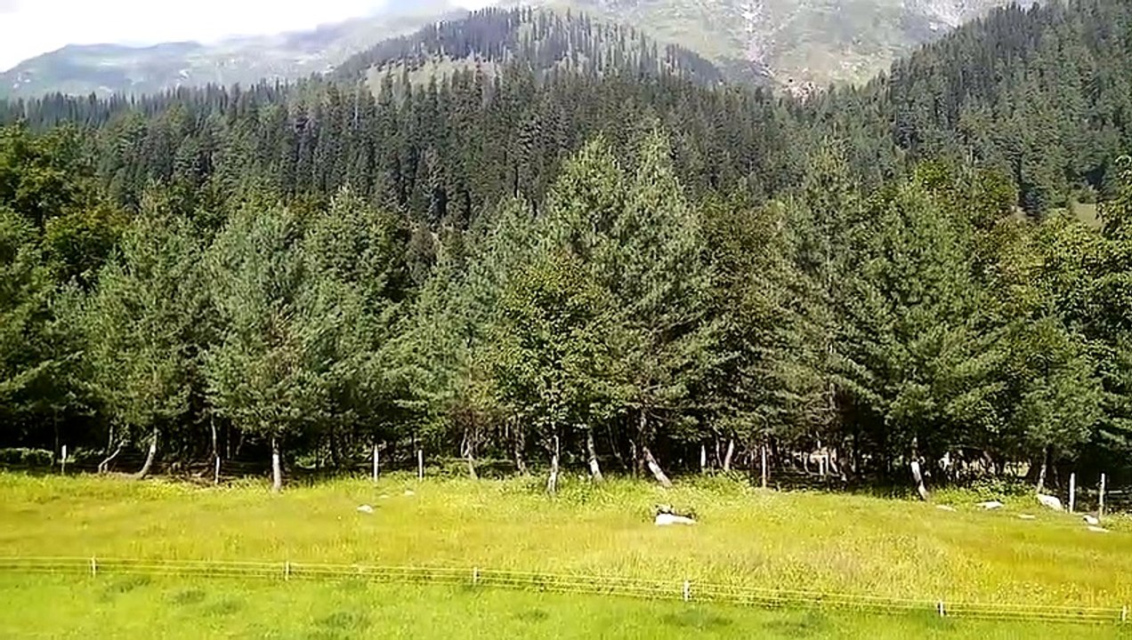 Manoor Valley of Kaghan - Unexplored Valley - video Dailymotion