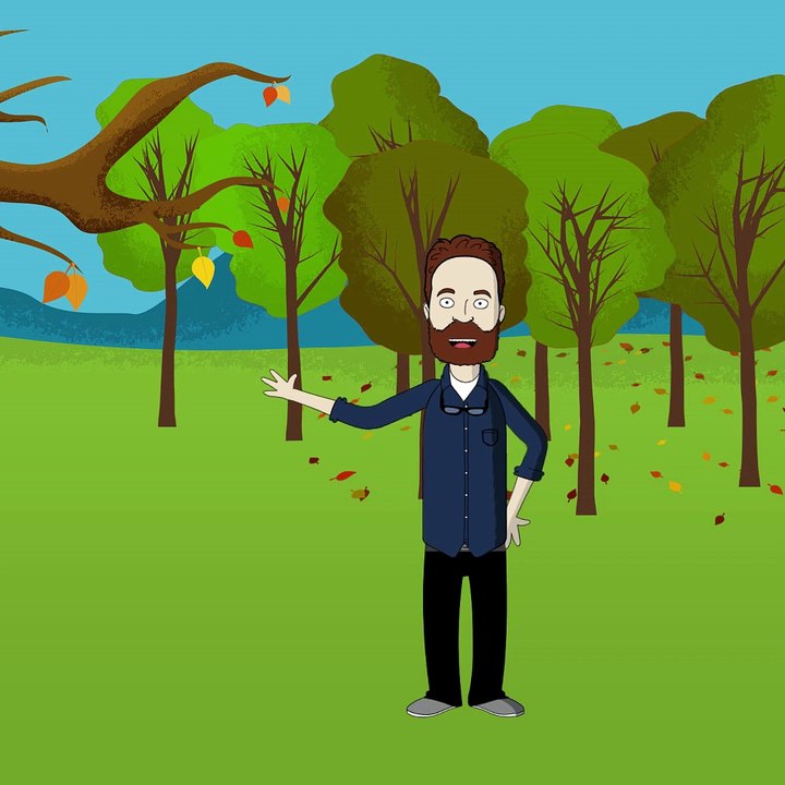 funny cartoon - video Dailymotion