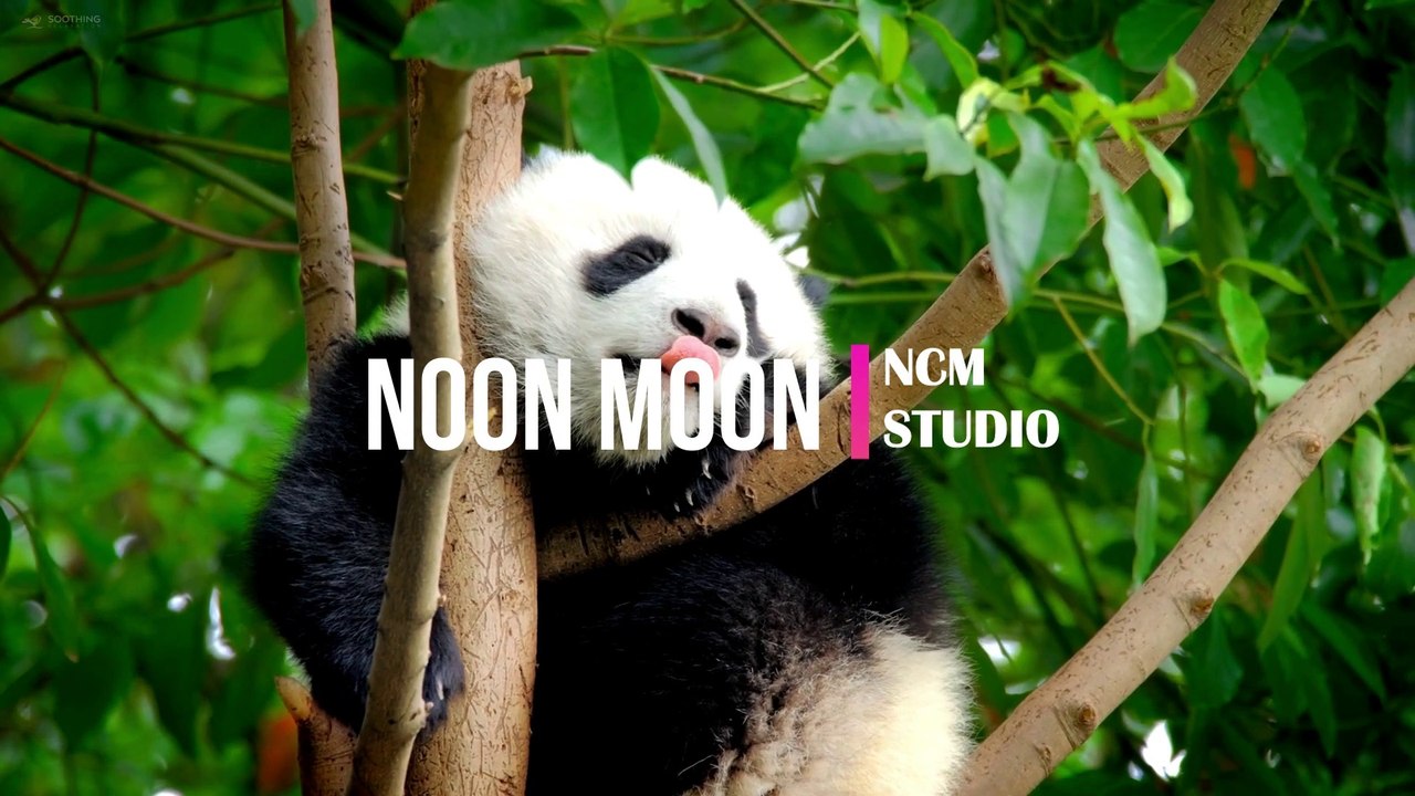 Noon Moon - Mike Block feat. Folk-Physics, Ambient Music, Bright Music, Happy Music - video ...