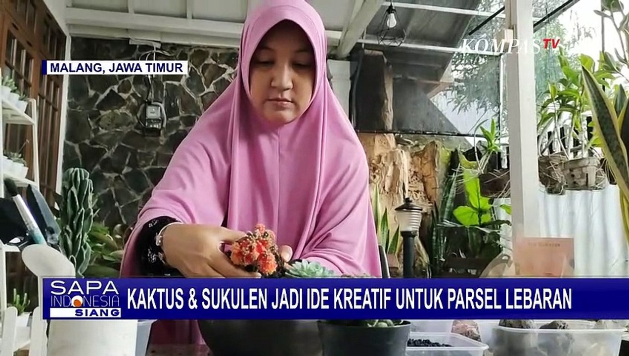 Kaktus dan Sukulen Jadi Ide Kreatif dan Alternatif untuk Parsel Lebaran ...