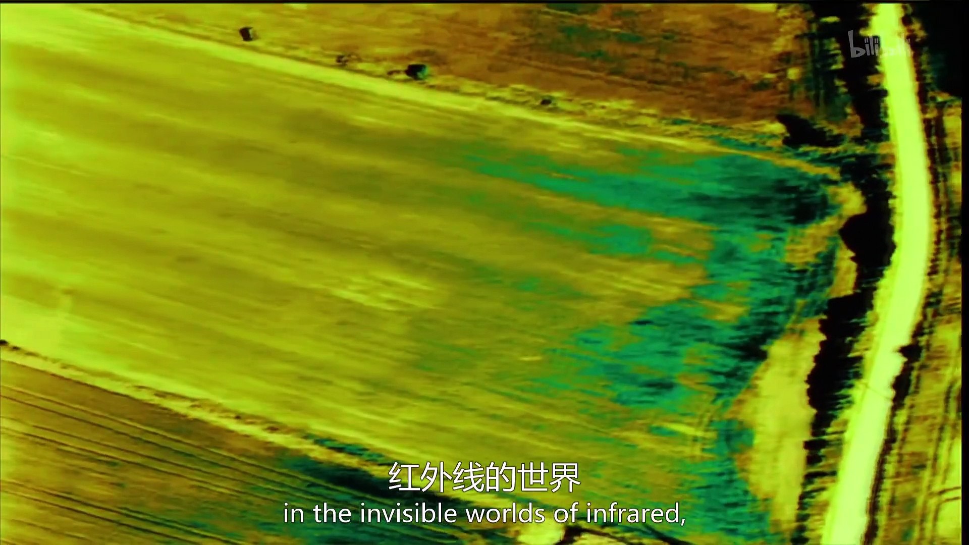 Human Body Pushing The Limits Worksheet