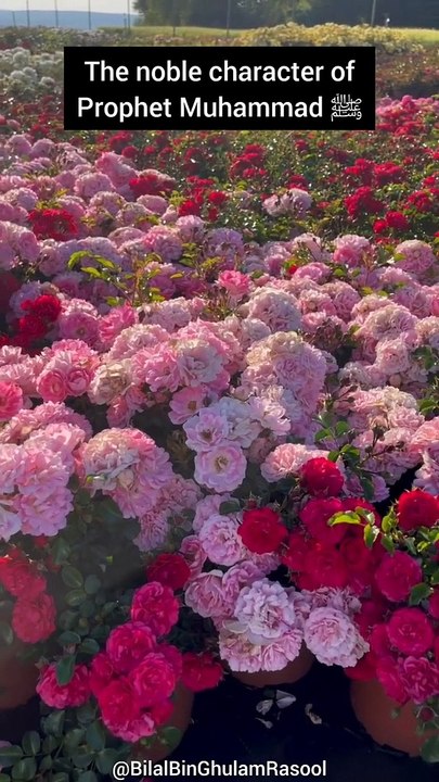 The noble character of Prophet Muhammad ﷺ - video Dailymotion