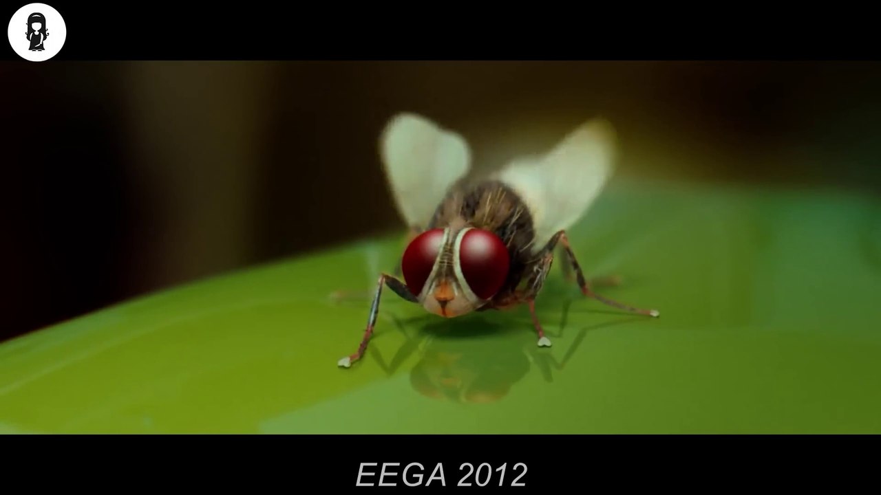 Smart Fly Learns KungFu & Uses Needle as Weapon to Take Revenge on ...