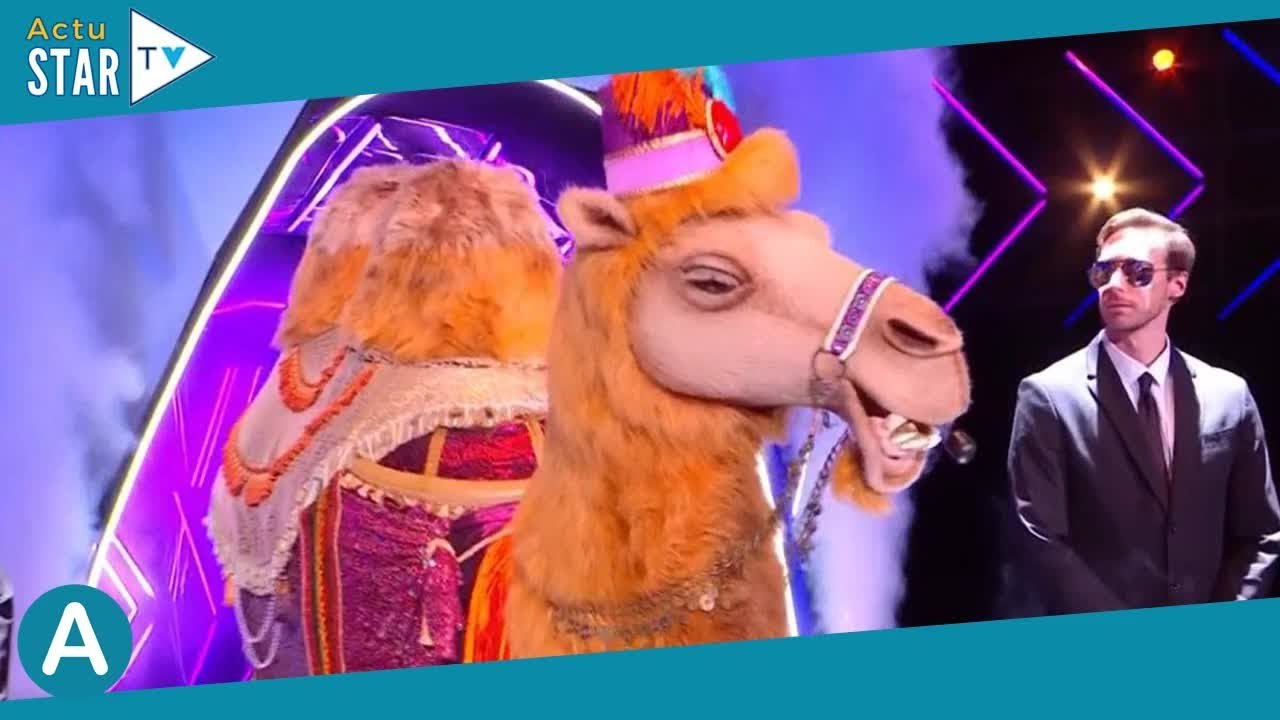 Mask Singer 5 - Le Chameau : Du jamais vu dans l'émission, un enquêteur ...