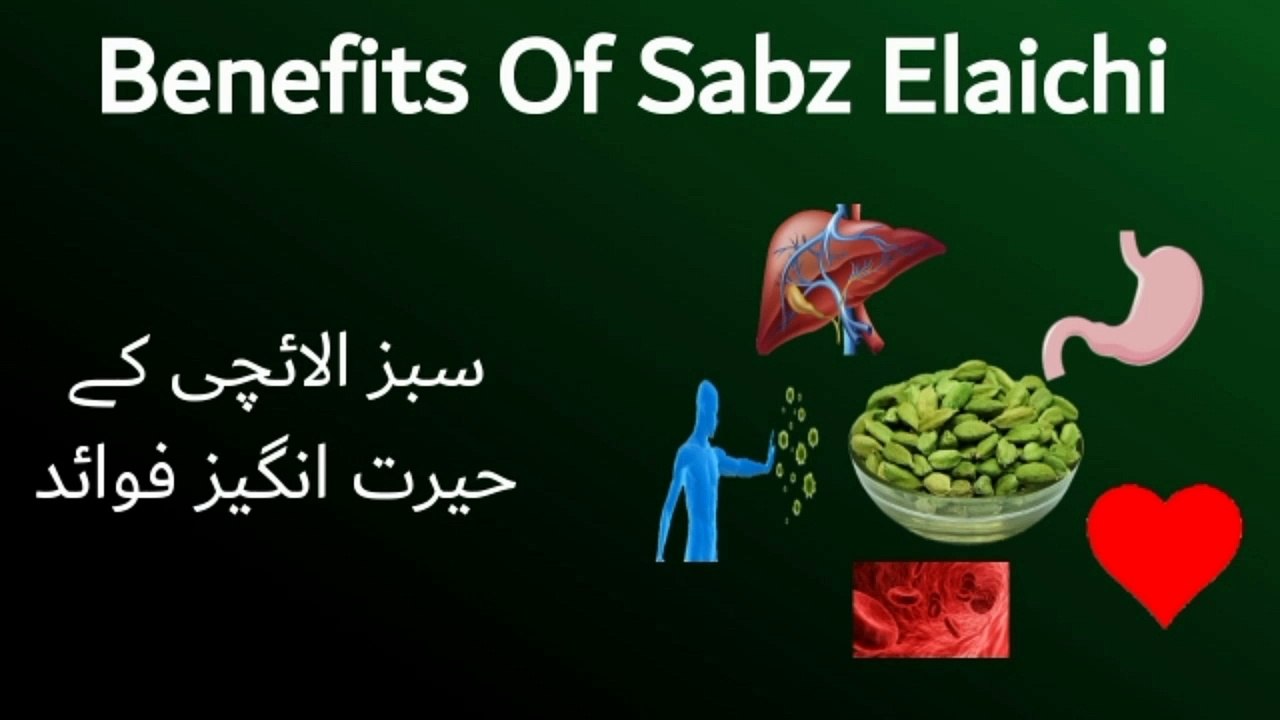 Elaichi Khane Ke Fayde Or Istamal Ka Tarika | Benefits Of Sabz Elaichi Cardamom | Elaichi Ke ...