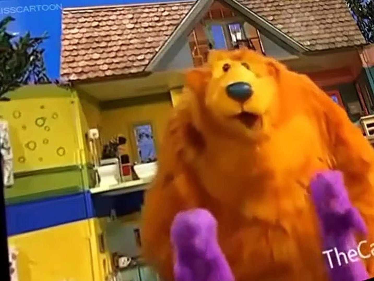 Orange Bear Tv Show