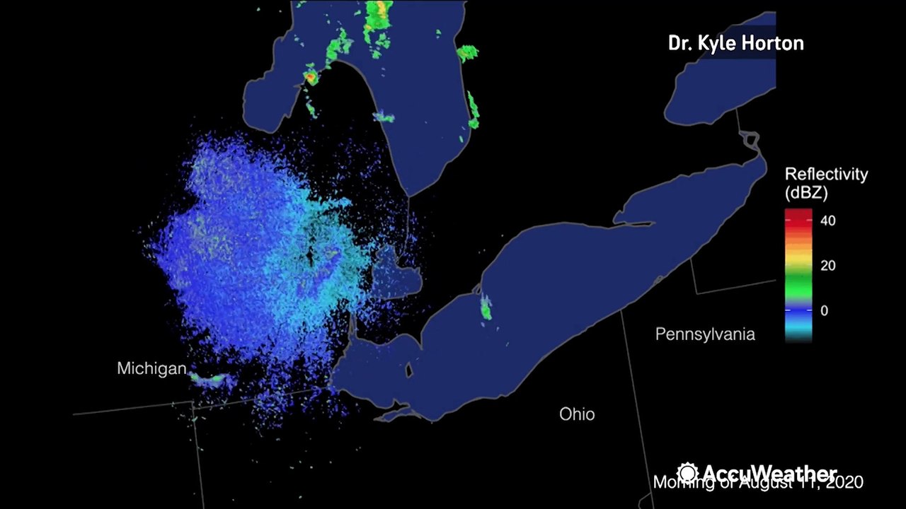 'Innovative and exciting:' Bird study uses weather radar in hope to ...