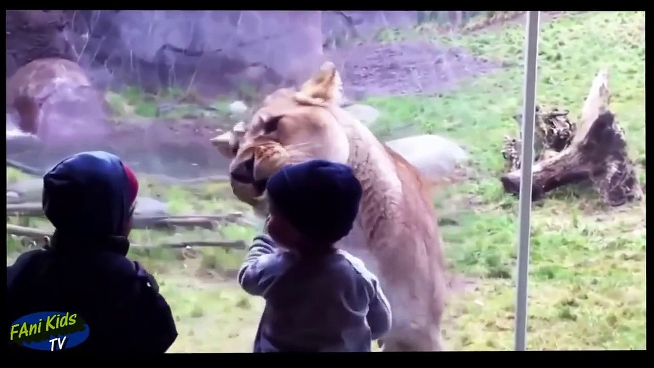 Funny animal fails compilation Animals attack fails kids at the zoo ...