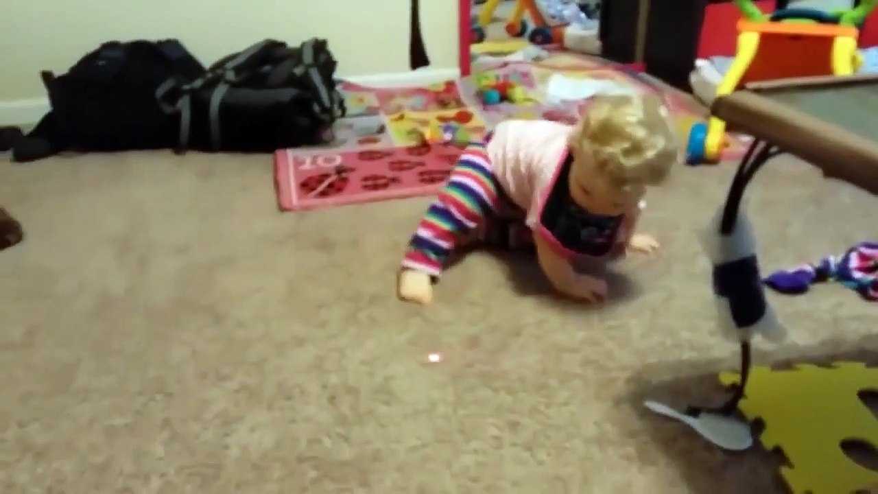 FUNNY Baby Chasing Laser Pointer - BEST Babies Video Compilation ...