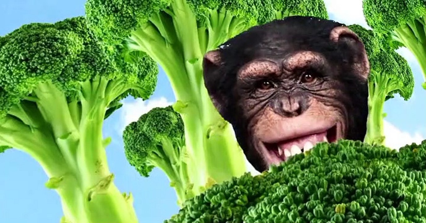 Rocket Monkeys Rocket Monkeys S02 E001 – Monkey-Itis / Deep Space Disco ...