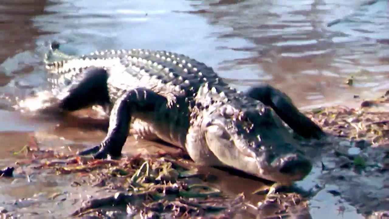 Held for Ransom _ Hollywood Movies Full Action Movies Hindi Dubbed ...