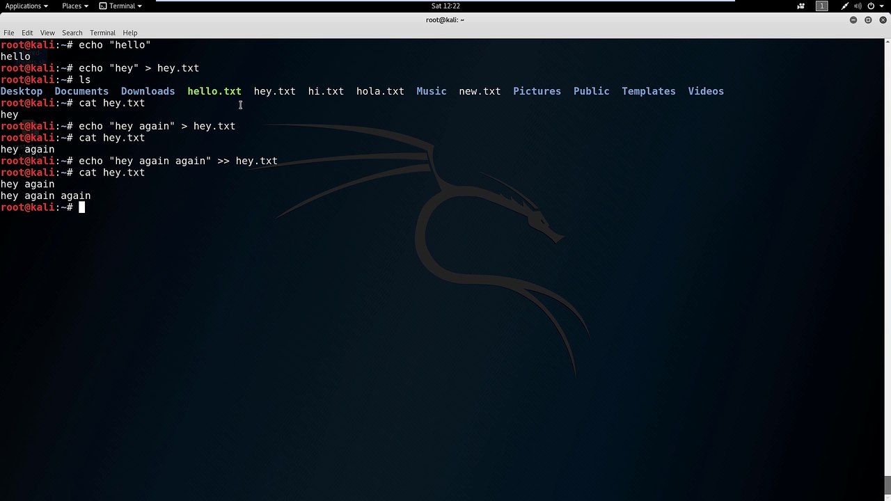 Security Academy Practical Ethical Hacking - Viewing, Creating, and Editing Files - video ...