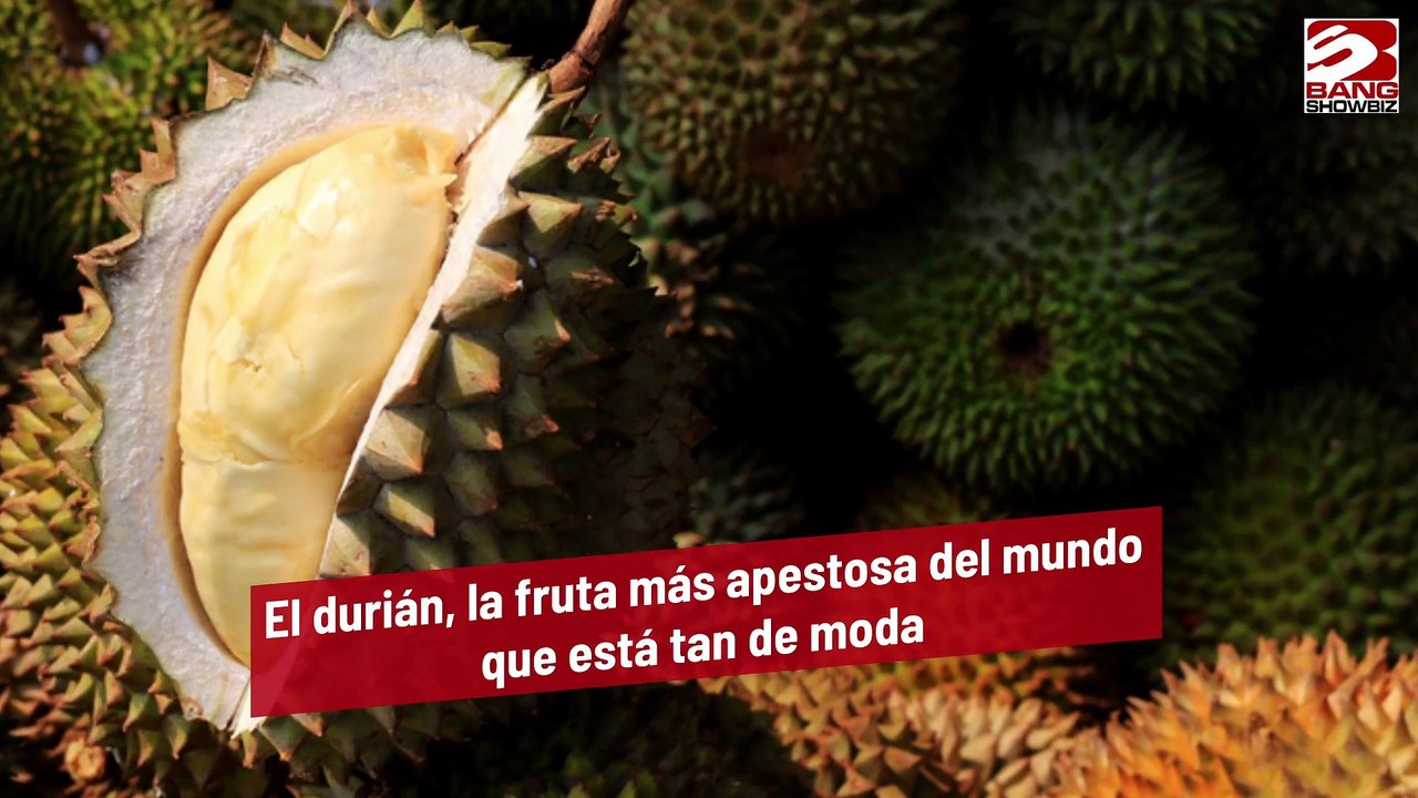 El durián, la fruta más apestosa del mundo que está tan de moda - Vídeo ...