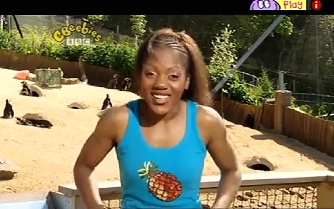 Boogie Beebies Penguin Bop Cbeebies - video Dailymotion