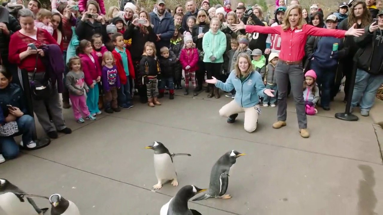 A Pittsburgh Penguin Party Is Something Everyone Has to Feast Their ...