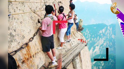 Amazing Facts by All Arounder - Dailymotion