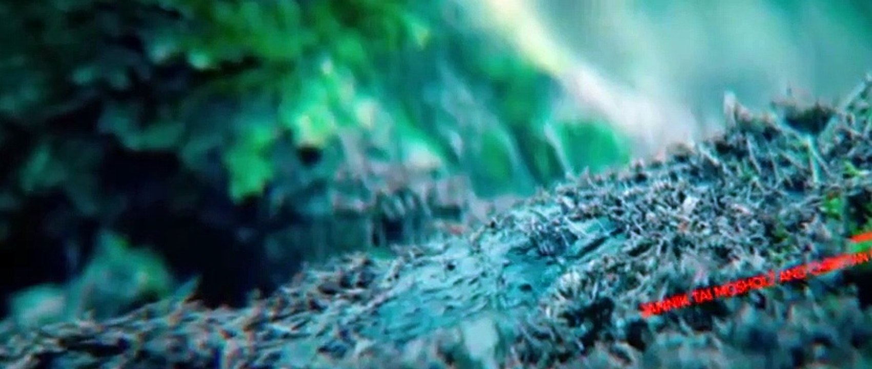 Elves 2021 S01 E06 - video Dailymotion