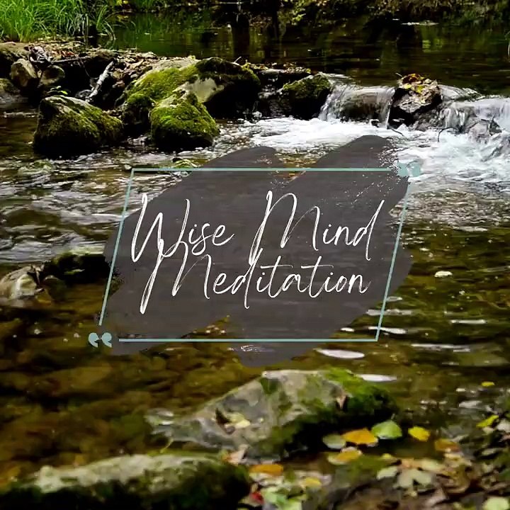 Wise Mind Guided Meditation I Balance Your Logical I Emotional Sides I ...
