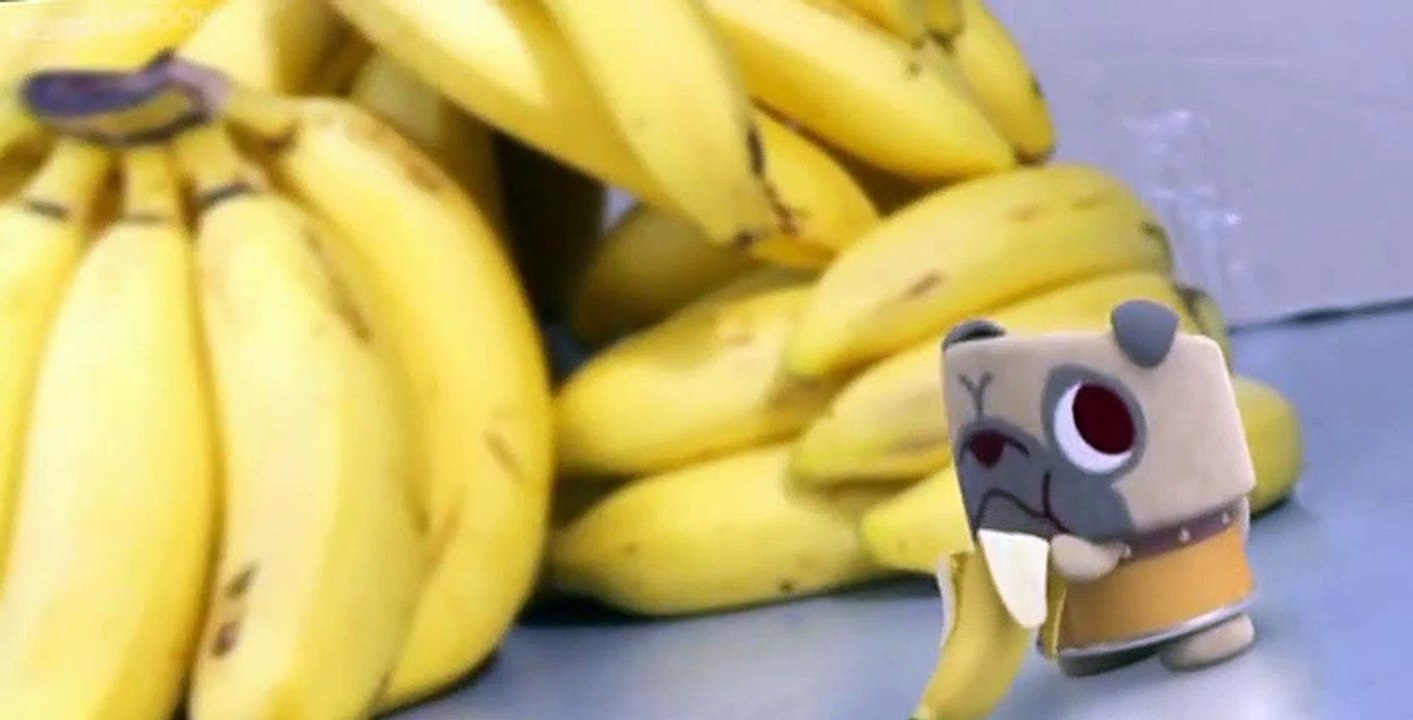 Canimals Canimals E050 King Can - video Dailymotion