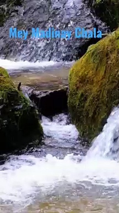 %23Naat_-_Mey_Madinay_Chala%23_YouTube%23Shorts%23Shorts_with_lyrics ...