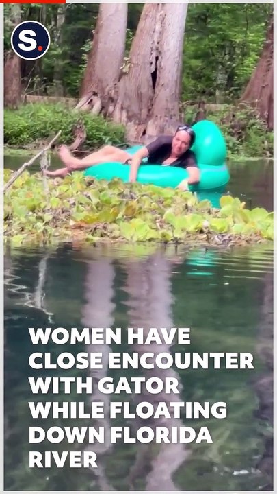 Woman Has Close Encounter With Alligator While Rafting - video Dailymotion