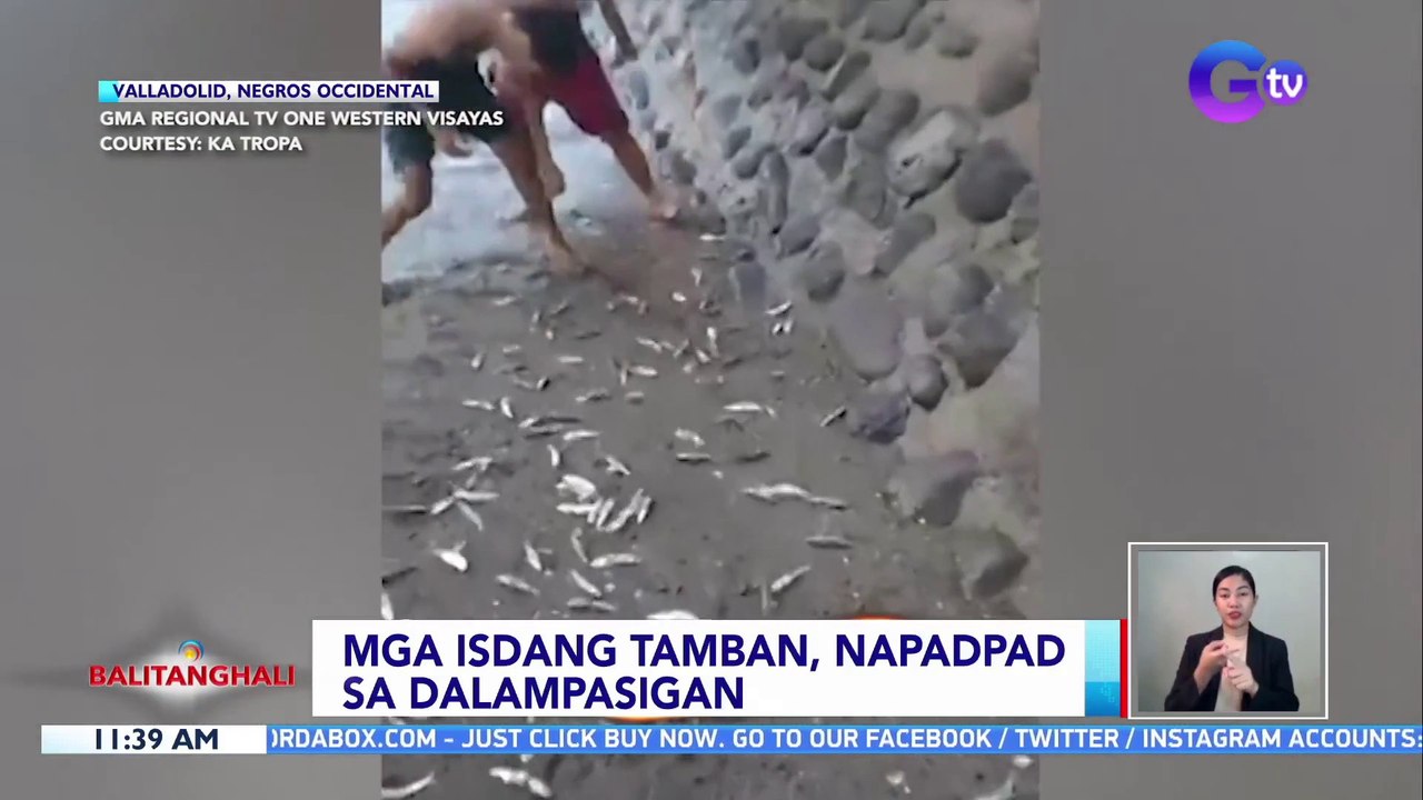 Mga isdang tamban, napadpad sa dalampasigan | BT - video Dailymotion