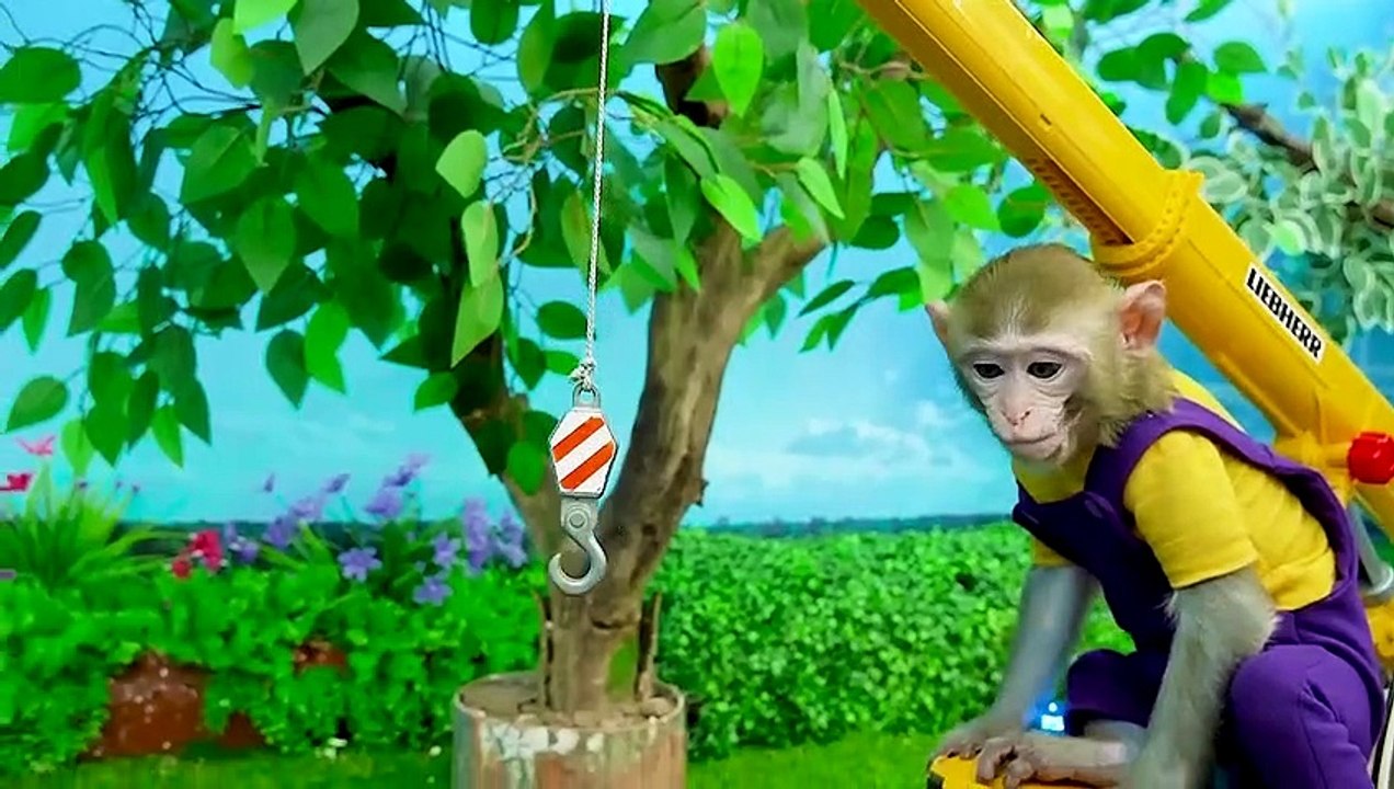 KiKi Monkey fixes trouble with Coca vs Pepsi Vending Machine and go to ...