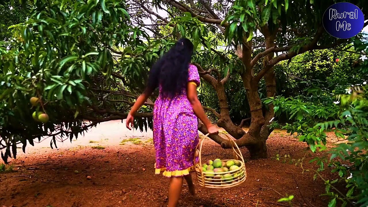 Tree full of violet mangoes, made me wants to make so many yummy Mango ...