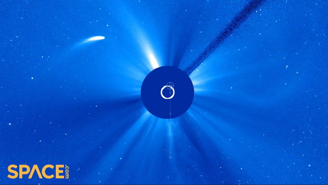 See Comet 96P Macholz's Stunning Sun Flyby In Multiple Spacecraft Views ...