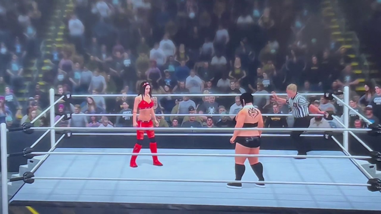 Breta vs Brie Bella Title Match - video Dailymotion