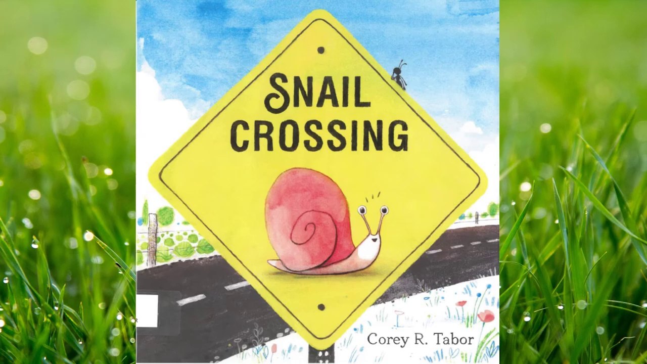 Snail Crossing | Snail Story for Kids - video Dailymotion