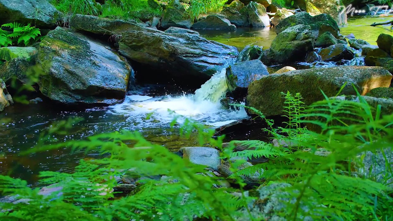 Calming Music for Deep Sleep - Gentle and Soothing Instrumental ...