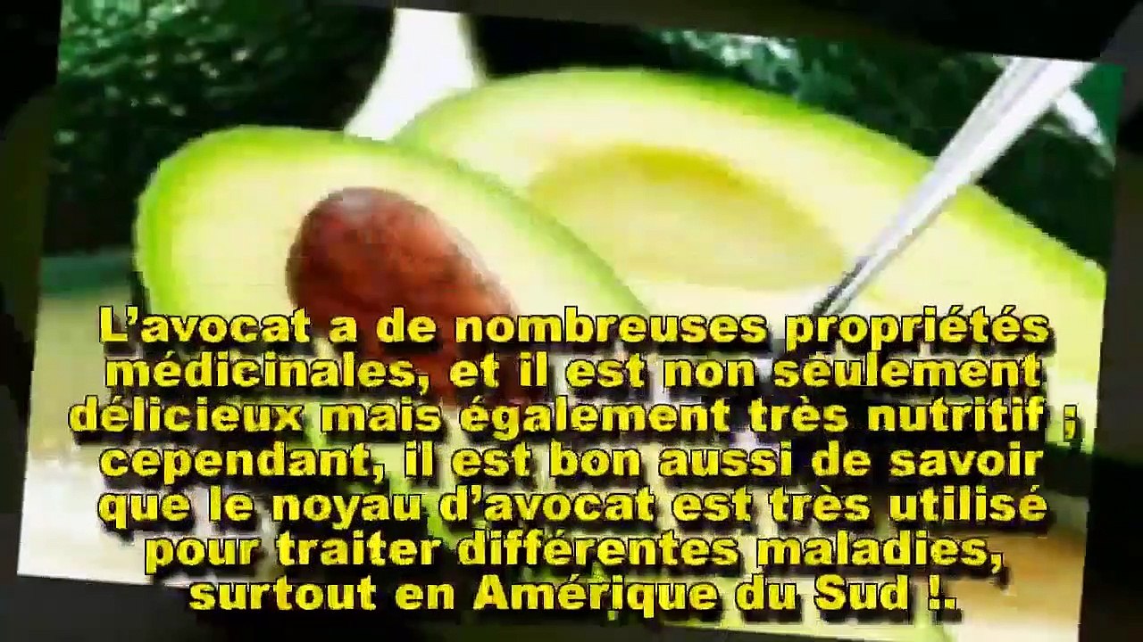 Protégez votre organisme grâce au noyau d’avocat - video Dailymotion