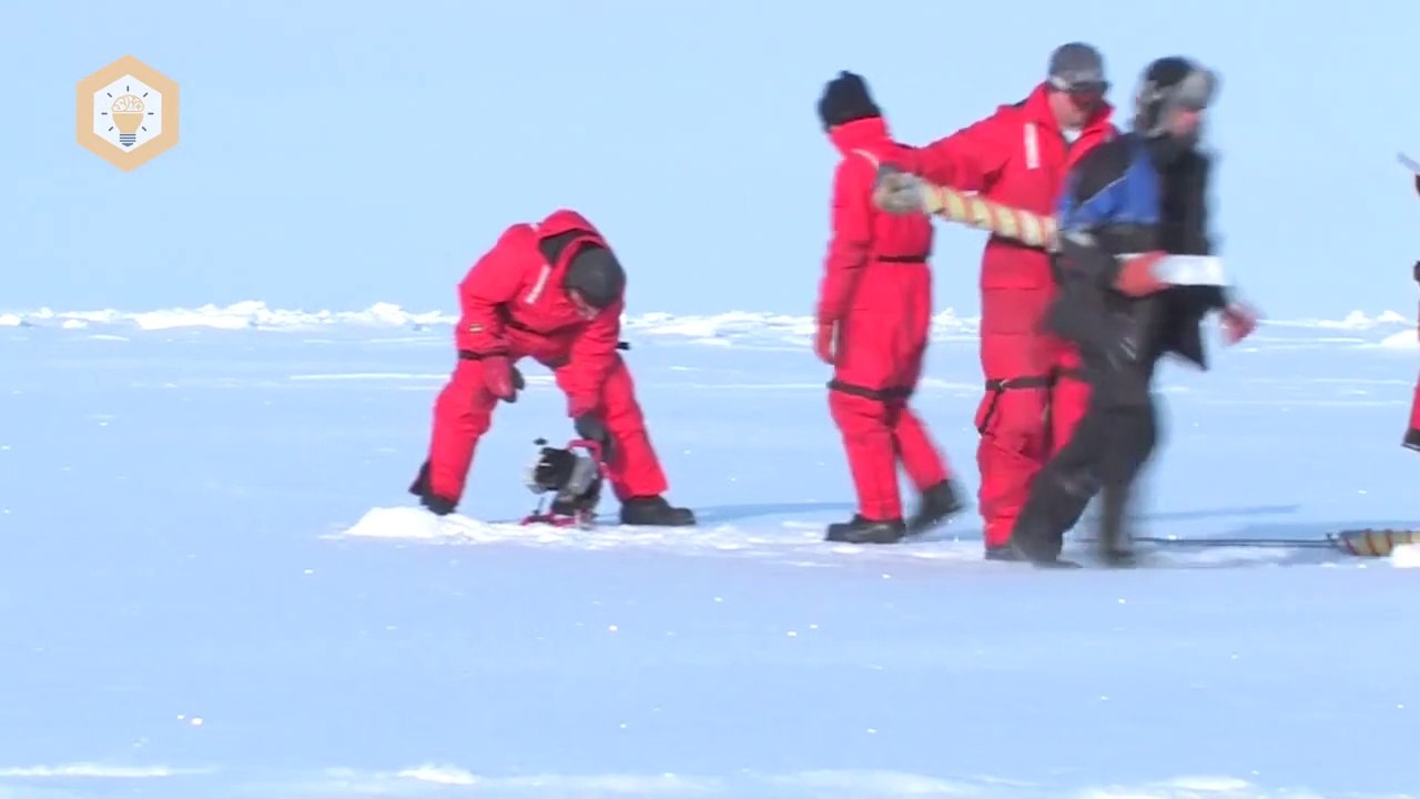 How To Get a Job in Antarctica - How to Work in Antarctica - video ...