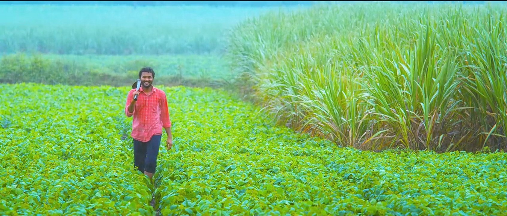 MUSANDI 9th June 2023 - video Dailymotion