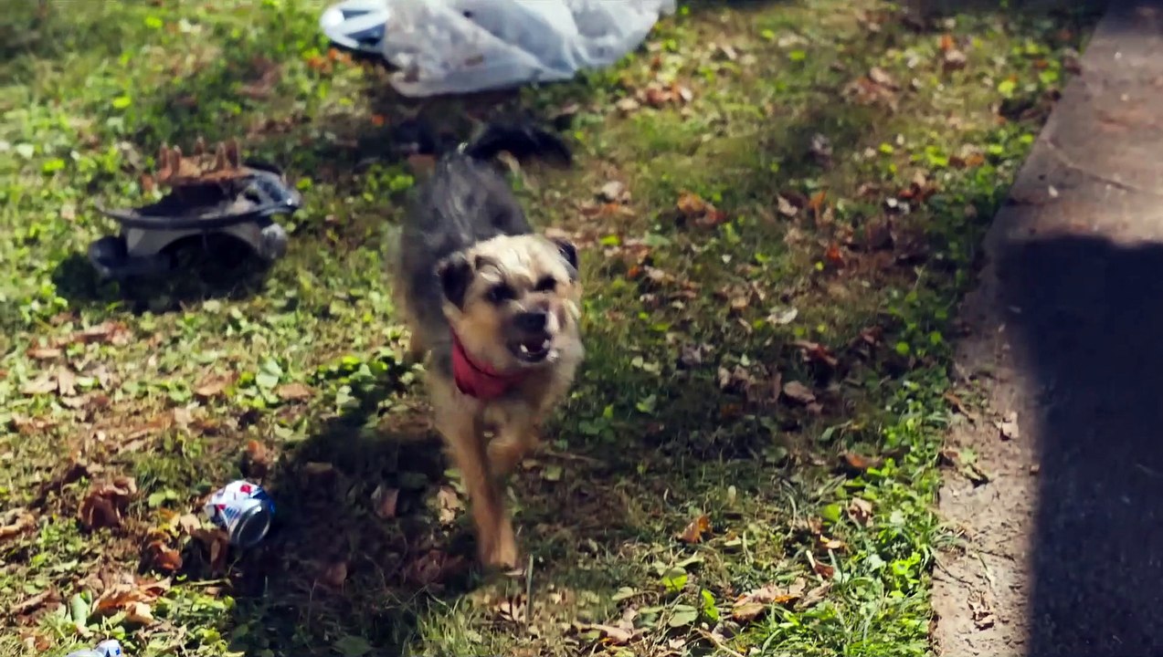 Doggy Style Film Trailer - video Dailymotion