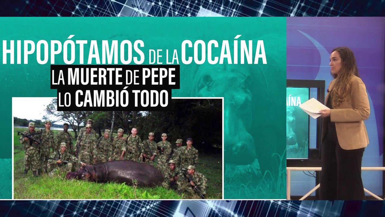 03. SARA SOTO - Vídeo Dailymotion