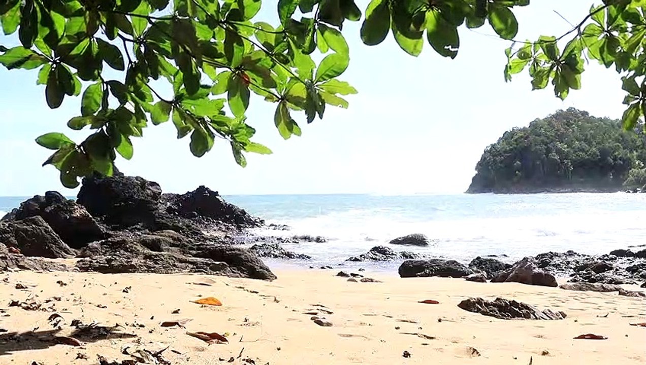 Free Nature Footage | hot tropical beach | No Edit, No Cut, No Loop, No ...