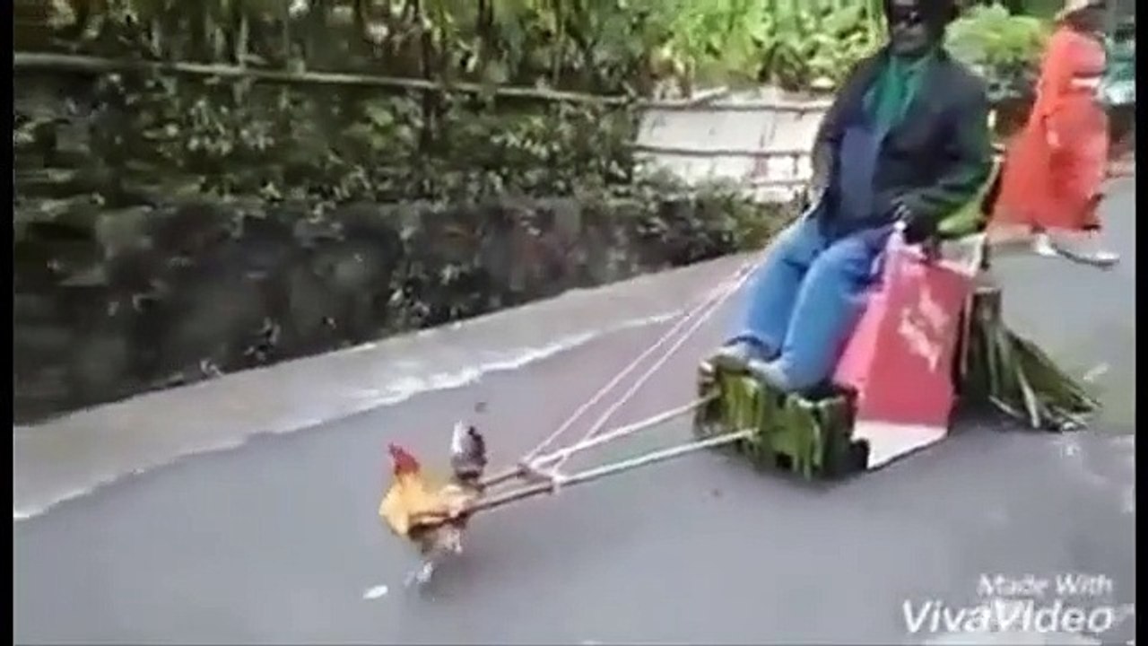 Best Epic Fails Compilation December 2016 (4) - Vidéo Dailymotion