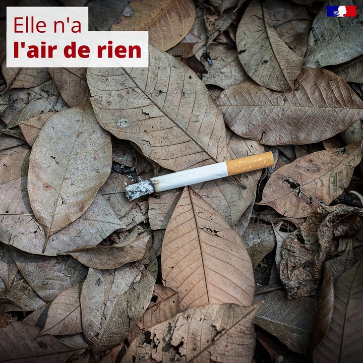 [DREAL Centre-Val de Loire] Sensibilisation cigarette au sol - Vidéo ...