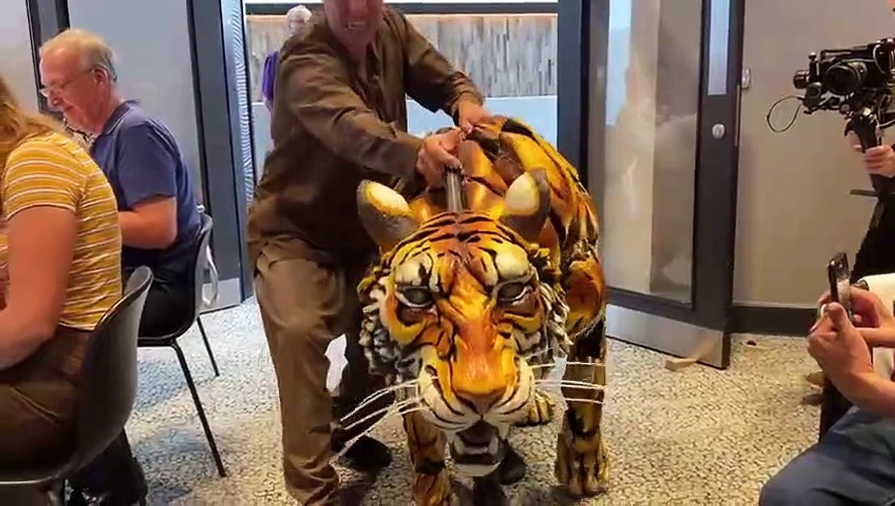 I met the life of Pi tiger puppet and it was so realistic it made my ...