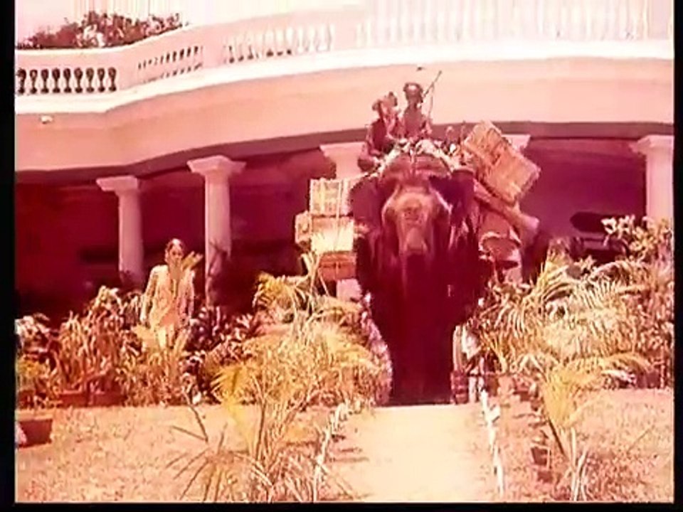 Tusk | movie | 1980 | Official Trailer - video Dailymotion